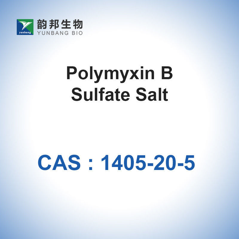 CAS 1405-20-5 Polymyxin B Sulfate Powder Antibiotic 2-8°C Storage Temp