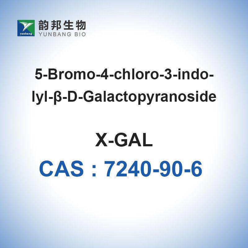 Glycoside X-GAL CAS 7240-90-6 5-Bromo-4-Chloro-3-Indolyl-Beta-D-Galactoside