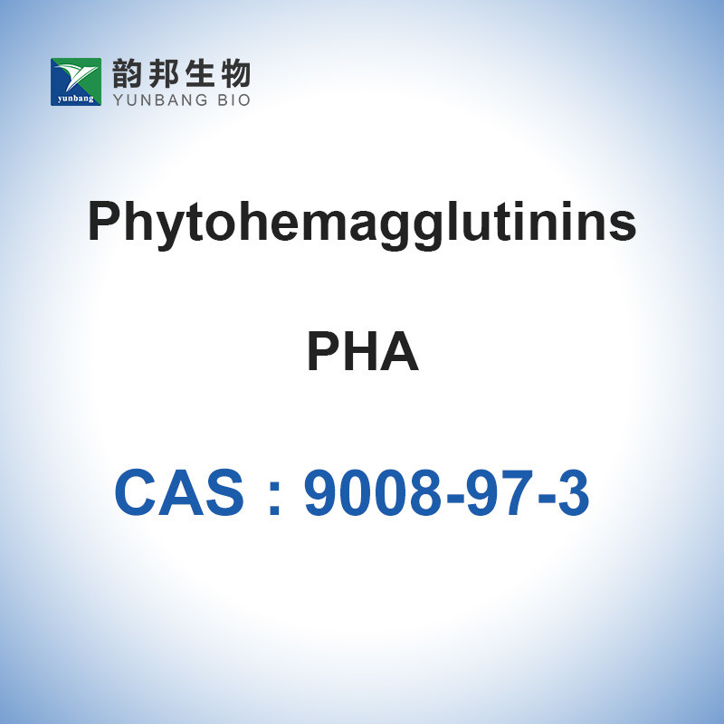 PHA Phytohemagglutinin-M Phaseolus Vulgaris CAS 9008-97-3 Lyophilized ...