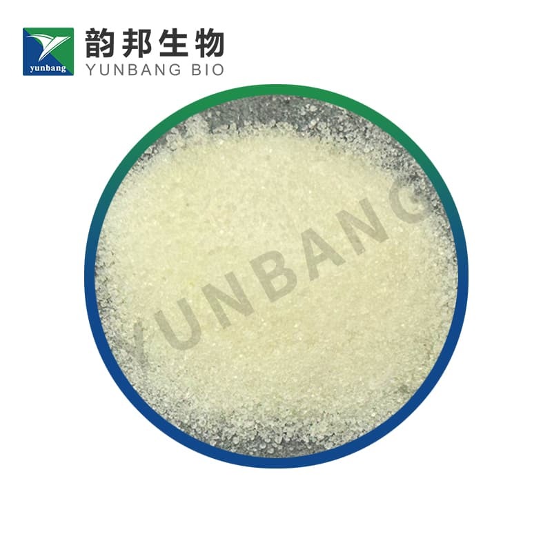 CAS 9000-70-8 Gelatin biochemical reagent for labs