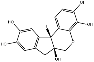 CAS 517-28-2 Hematoxylin Biological Stains Bioreagent 98% Purity